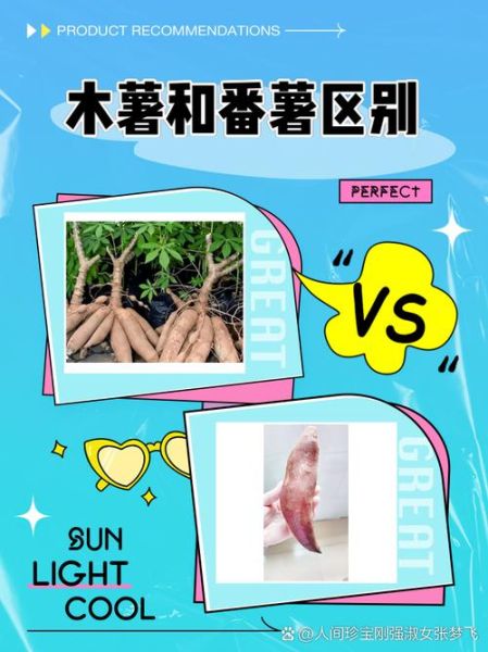 木薯图片长什么样_木薯和红薯区别图解-第2张图片-山城妙识