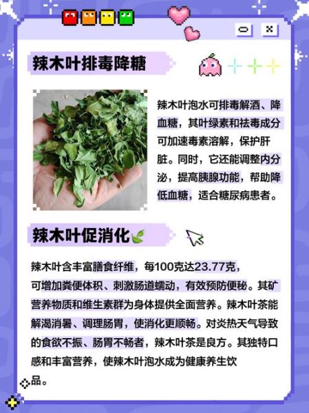 辣木树的功效与作用_辣木树怎么种植-第3张图片-山城妙识 辣木树的功效与作用_辣木树怎么种植-第3张图片-山城妙识