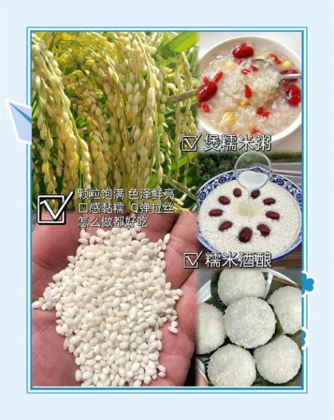 圆糯米的功效与作用_孕妇能吃吗-第3张图片-山城妙识
