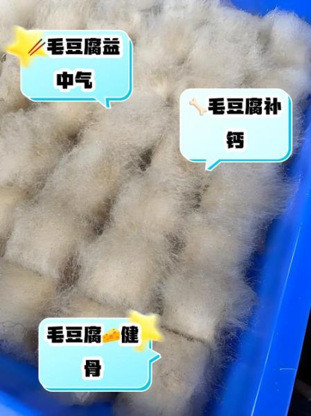 毛豆腐上的毛是什么菌_如何安全食用-第1张图片-山城妙识