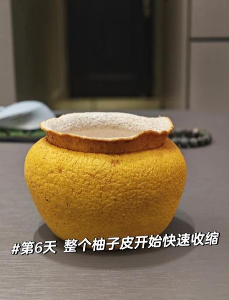 柚子皮有什么用处_柚子皮怎么利用-第2张图片-山城妙识