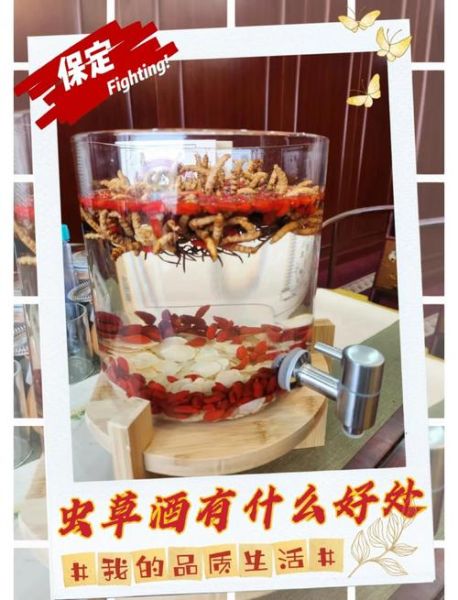 虫草泡酒一斤酒放几根_虫草泡酒比例是多少-第2张图片-山城妙识