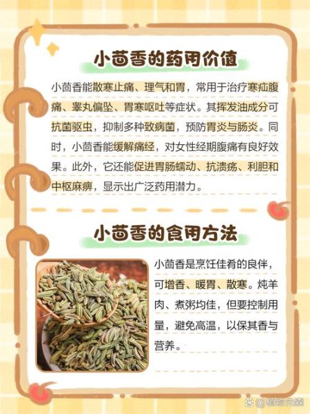 小茴香调料怎么吃_小茴香做菜有哪些做法-第3张图片-山城妙识
