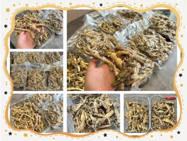 沙参玉竹的功效与作用禁忌_适合人群与注意事项-第2张图片-山城妙识 沙参玉竹的功效与作用禁忌_适合人群与注意事项-第2张图片-山城妙识