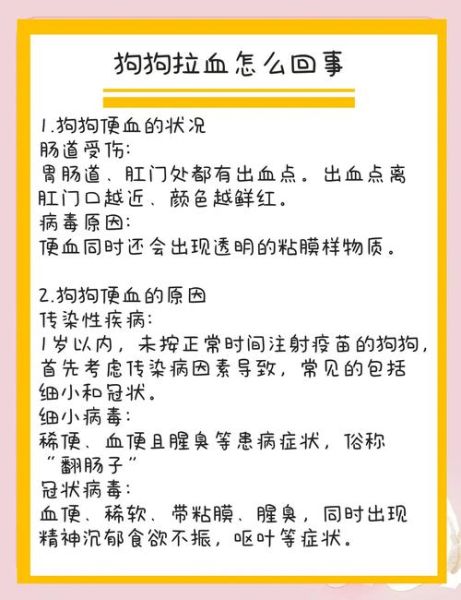 拉粑粑出血是什么原因_拉粑粑出血怎么办-第2张图片-山城妙识 拉粑粑出血是什么原因_拉粑粑出血怎么办-第2张图片-山城妙识