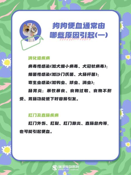 拉粑粑出血是什么原因_拉粑粑出血怎么办-第3张图片-山城妙识 拉粑粑出血是什么原因_拉粑粑出血怎么办-第3张图片-山城妙识