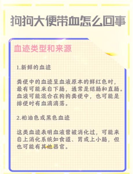 拉粑粑出血是什么原因_拉粑粑出血怎么办-第1张图片-山城妙识 拉粑粑出血是什么原因_拉粑粑出血怎么办-第1张图片-山城妙识