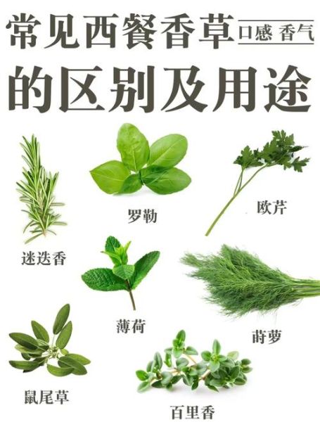 香草精图片_香草精和香草荚区别-第2张图片-山城妙识 香草精图片_香草精和香草荚区别-第2张图片-山城妙识