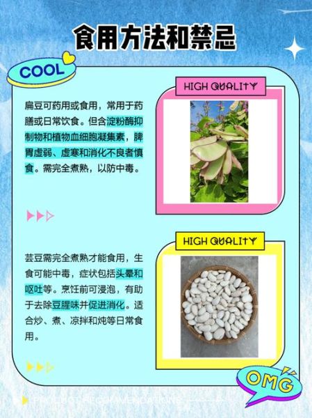 白扁豆和白芸豆的区别_哪个更适合减肥-第1张图片-山城妙识