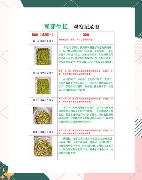绿豆发芽需要几天_绿豆发芽七天变化图-第2张图片-山城妙识