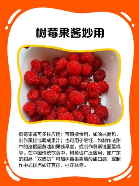 树莓果酱籽太多怎么处理_如何减少树莓籽影响口感-第1张图片-山城妙识