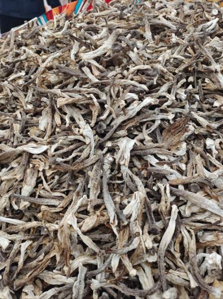 肉蘑多少钱一斤_肉蘑价格行情-第3张图片-山城妙识 肉蘑多少钱一斤_肉蘑价格行情-第3张图片-山城妙识