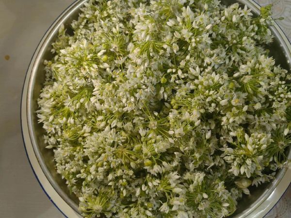 韭菜花怎么腌制不变色_韭菜花腌制不变色窍门-第1张图片-山城妙识