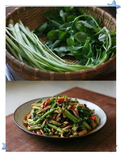 水芹菜的功效与作用_水芹菜怎么做好吃-第2张图片-山城妙识 水芹菜的功效与作用_水芹菜怎么做好吃-第2张图片-山城妙识
