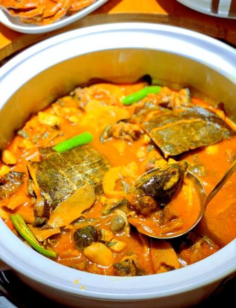 甲鱼火锅怎么做_甲鱼火锅汤底配方-第1张图片-山城妙识 甲鱼火锅怎么做_甲鱼火锅汤底配方-第1张图片-山城妙识