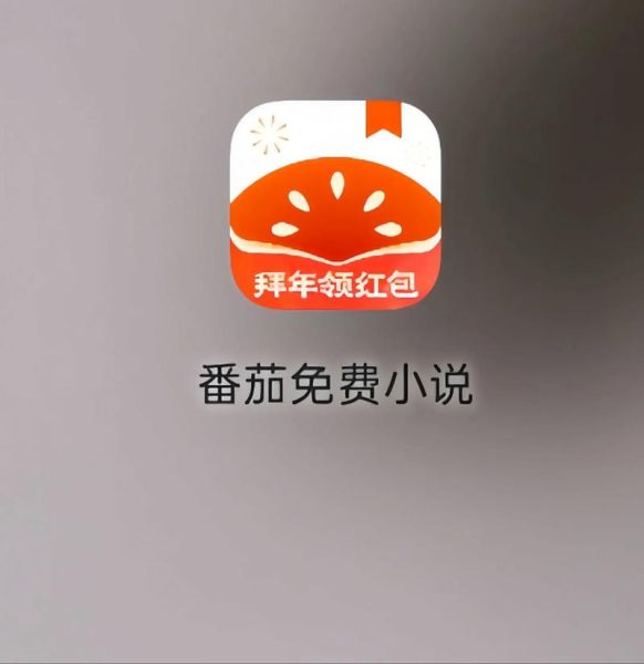 番茄免费阅读小说下载免费_如何不花钱看全本-第1张图片-山城妙识 番茄免费阅读小说下载免费_如何不花钱看全本-第1张图片-山城妙识