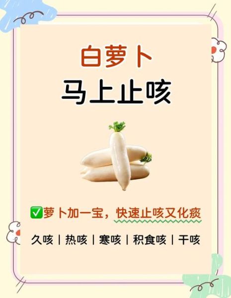 白萝卜水止咳化痰吗_白萝卜水的功效与作用-第1张图片-山城妙识