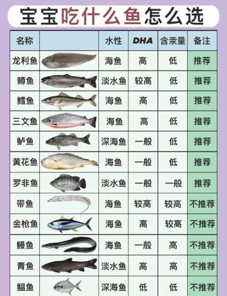 最适合孩子吃的鱼有哪些_孩子吃什么鱼最补脑-第1张图片-山城妙识