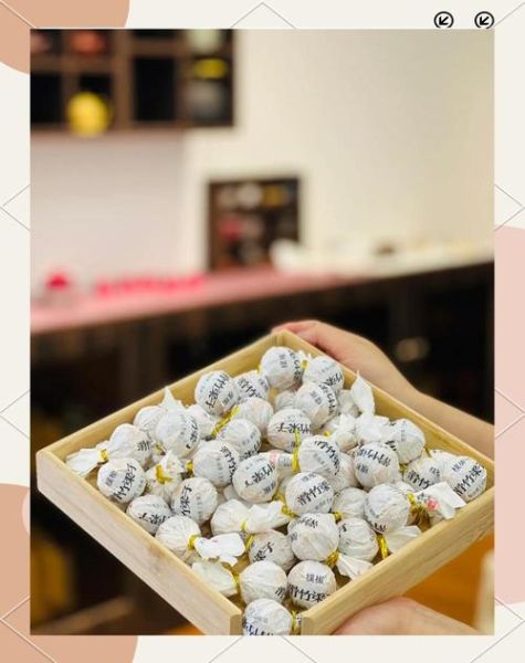 珠茶是什么茶_珠茶冲泡方法-第1张图片-山城妙识