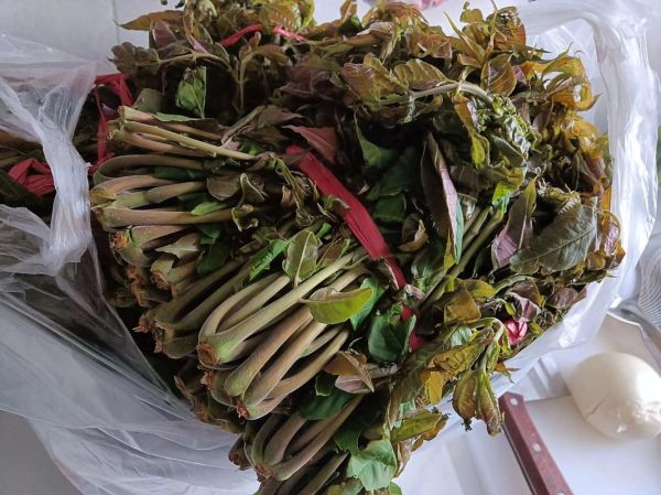 怎样腌制香椿芽又青又脆_香椿芽怎么腌制不变色-第1张图片-山城妙识