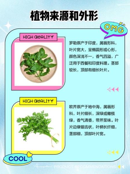 罗勒和迷迭香怎么用_欧芹和百里香怎么区分-第1张图片-山城妙识