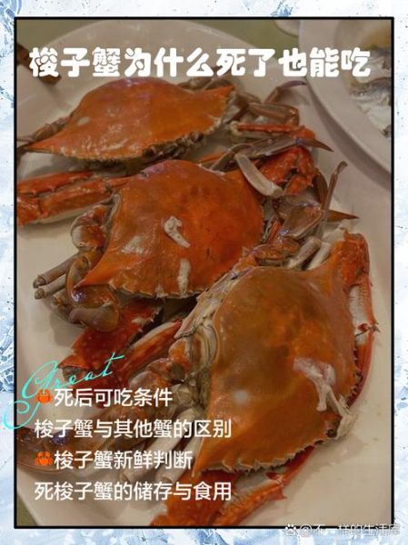 梭子蟹不能和什么一起吃_吃了会中毒吗-第2张图片-山城妙识