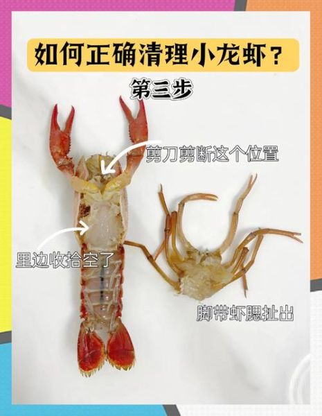 如何洗小龙虾又快又干净_小龙虾怎么清洗才没泥沙-第1张图片-山城妙识