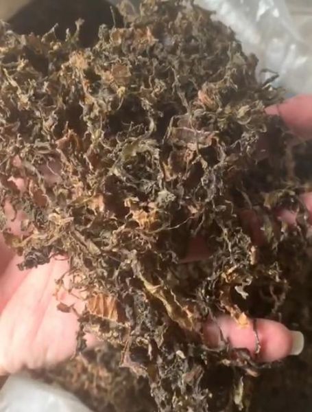 梅菜在北方叫什么菜_梅干菜和雪里蕻区别-第3张图片-山城妙识