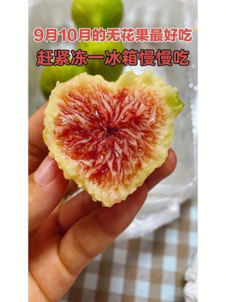冻无花果怎么保存_冻无花果怎么吃-第2张图片-山城妙识