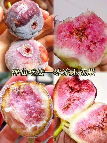 冻无花果怎么保存_冻无花果怎么吃-第1张图片-山城妙识