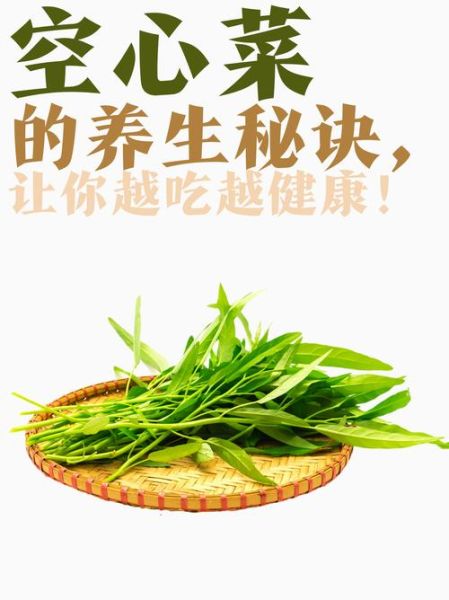 空心菜降血压吗_空心菜怎么吃最营养-第1张图片-山城妙识