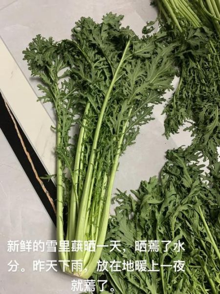 新鲜雪里蕻怎么做好吃_雪里蕻炒什么最下饭-第1张图片-山城妙识