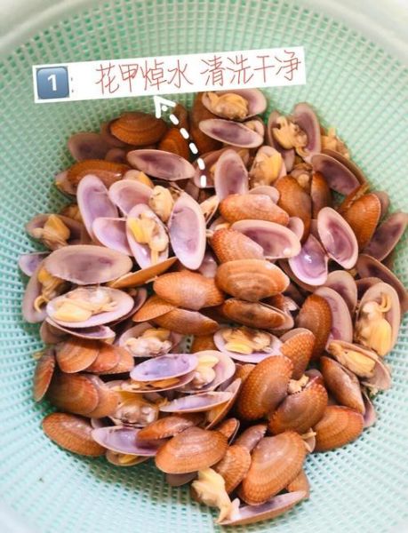 炒花甲螺怎么清洗才干净_炒花甲螺要不要焯水-第3张图片-山城妙识