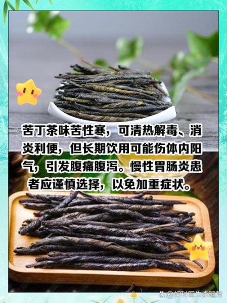 苦丁茶什么人不能喝_三种禁忌人群-第1张图片-山城妙识