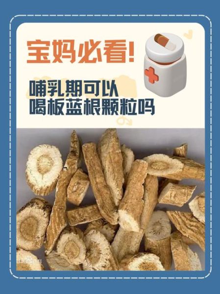 板蓝根治感冒吗_板蓝根颗粒什么时候喝-第3张图片-山城妙识