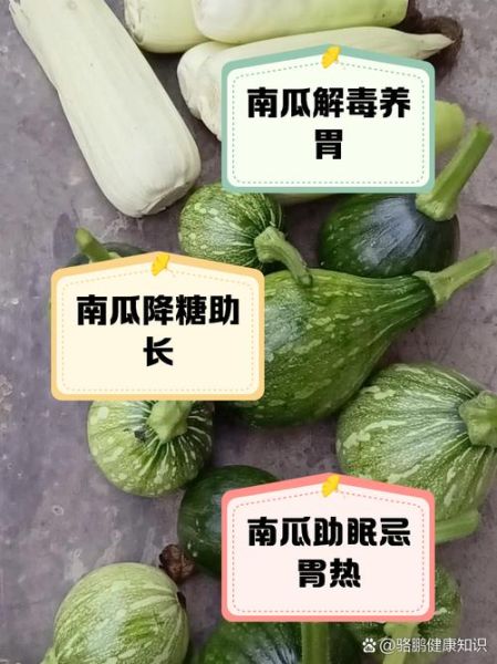 嫩南瓜的功效与作用禁忌_嫩南瓜怎么吃不上火-第1张图片-山城妙识
