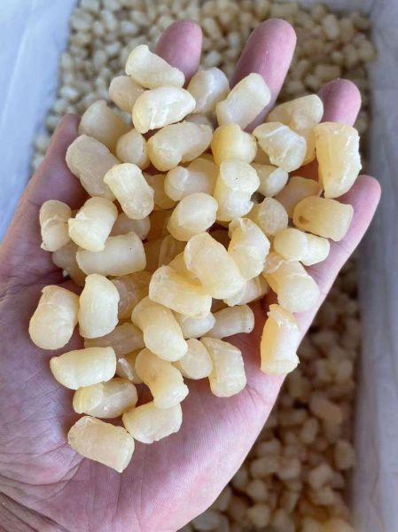 干贝怎么泡发_干贝蒸多久才入味-第1张图片-山城妙识