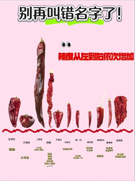 辣椒种子新旧区别_如何辨别好坏-第1张图片-山城妙识 辣椒种子新旧区别_如何辨别好坏-第1张图片-山城妙识