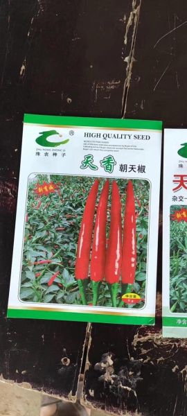 辣椒种子新旧区别_如何辨别好坏-第3张图片-山城妙识 辣椒种子新旧区别_如何辨别好坏-第3张图片-山城妙识