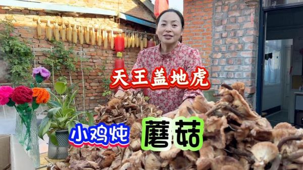 天王盖地虎_小鸡炖蘑菇是什么意思-第2张图片-山城妙识