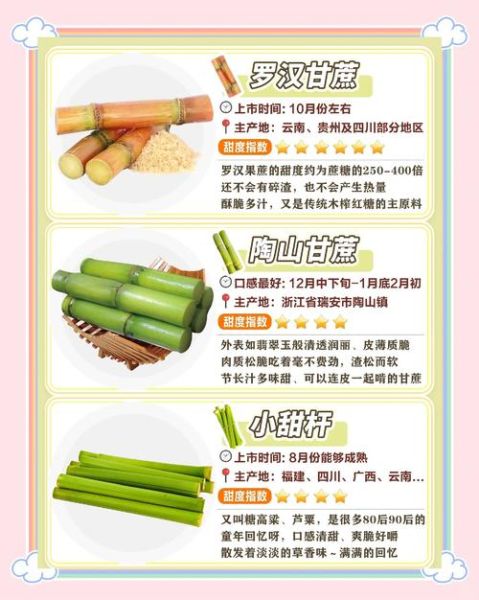 吃甘蔗有什么好处_甘蔗的功效与作用-第1张图片-山城妙识
