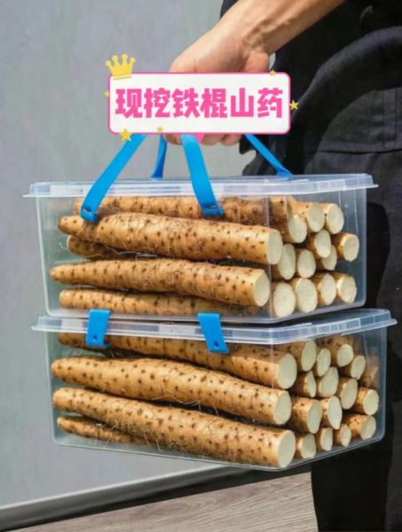 铁棍山药怎么吃最补肾_铁棍山药补肾食谱推荐-第2张图片-山城妙识