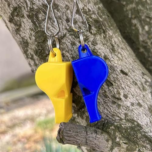 哨子图片大全_哨子种类有哪些-第1张图片-山城妙识 哨子图片大全_哨子种类有哪些-第1张图片-山城妙识