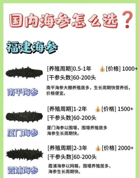 大连干海参一斤多少钱_如何挑选优质干海参-第3张图片-山城妙识