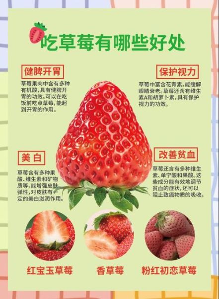 草莓的功效与作用_草莓吃多了有什么害处-第1张图片-山城妙识 草莓的功效与作用_草莓吃多了有什么害处-第1张图片-山城妙识
