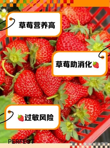草莓的功效与作用_草莓吃多了有什么害处-第3张图片-山城妙识 草莓的功效与作用_草莓吃多了有什么害处-第3张图片-山城妙识