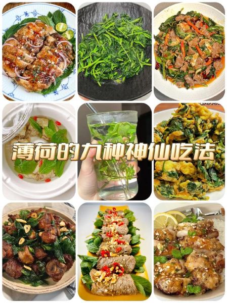 新鲜薄荷怎么做家常菜_薄荷入菜有哪些做法-第1张图片-山城妙识