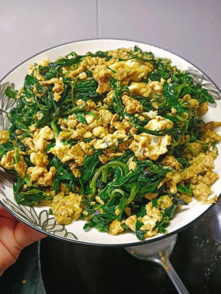 新鲜薄荷怎么做家常菜_薄荷入菜有哪些做法-第3张图片-山城妙识