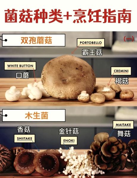 褐菇的功效与作用_褐菇怎么吃最营养-第1张图片-山城妙识