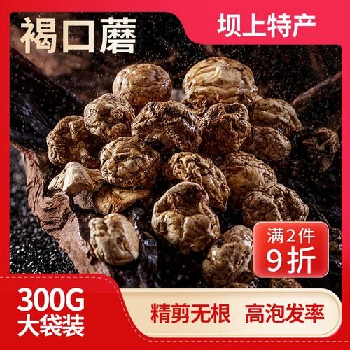 褐菇的功效与作用_褐菇怎么吃最营养-第2张图片-山城妙识